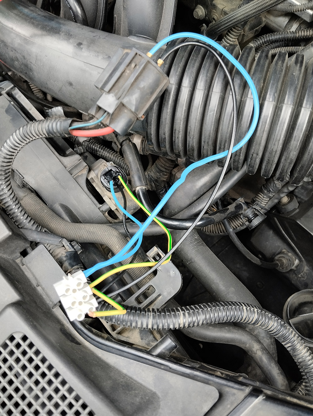 Mk2 Focus cooling fan not working - Ford Focus Club - Ford Owners Club ...